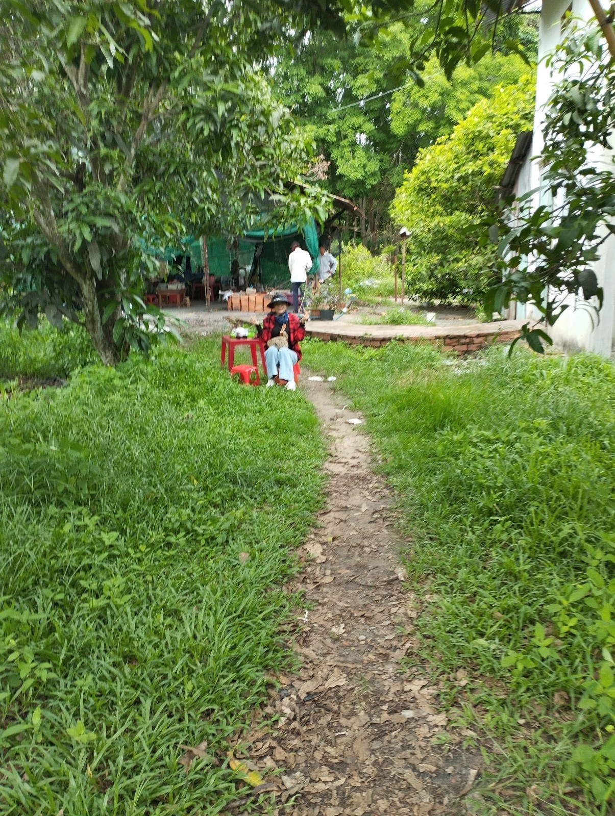 Bán nhà Thửa 560 Tờ 7 220 Hòa Phú Huyện Củ Chi - Bán Nhà Đẹp